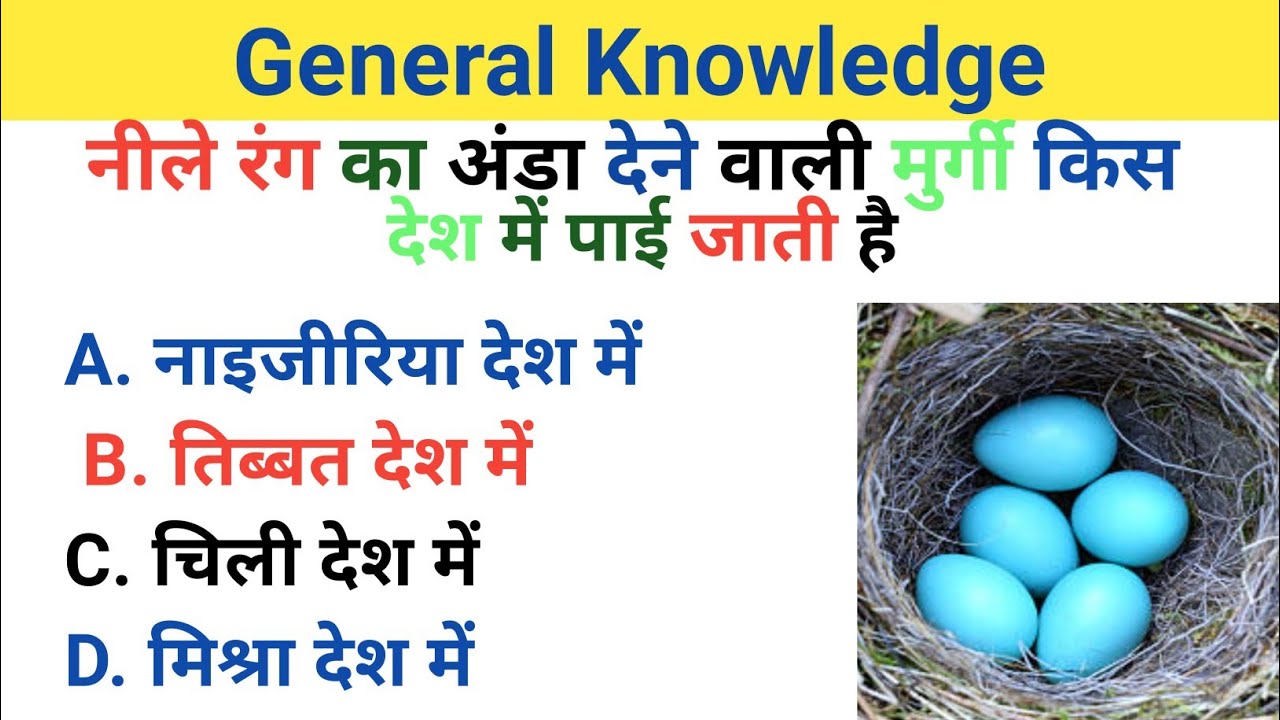 Gk|| Gk question || Gk in hindi || gk quiz || General knowledge || @brk study - YouTube