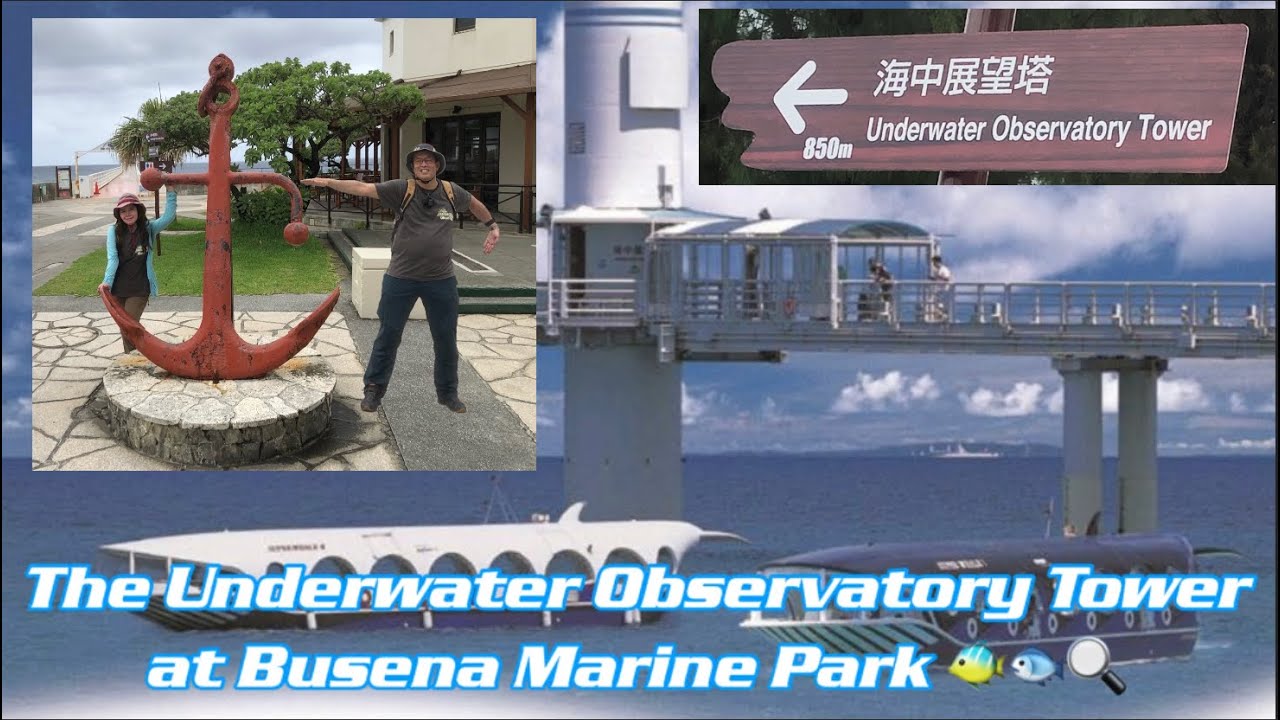 𝕋𝕙𝕖 𝕌𝕟𝕕𝕖𝕣𝕨𝕒𝕥𝕖𝕣 𝕆𝕓𝕤𝕖𝕣𝕧𝕒𝕥𝕠𝕣𝕪 𝕋𝕠𝕨𝕖𝕣 𝕒𝕥 𝔹𝕦𝕤𝕖𝕟𝕒 𝕄𝕒𝕣𝕚𝕟𝕖 ℙ𝕒𝕣𝕜 🐠🐟🔍 - YouTube