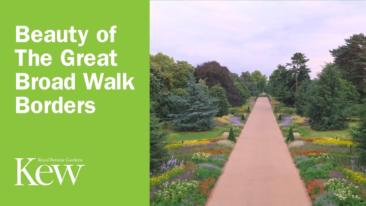 Beauty of The Great Broad Walk Borders - YouTube