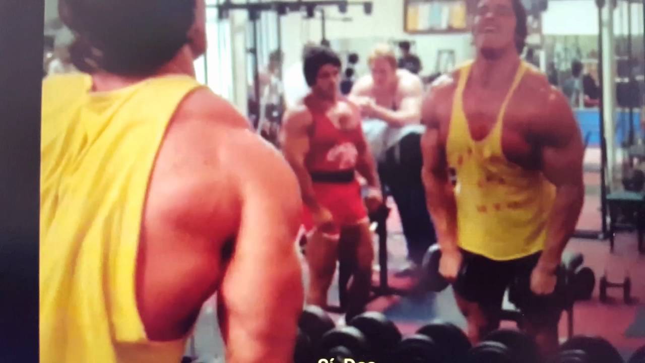 Arnold Schwarzenegger y Lou Ferrigno - YouTube
