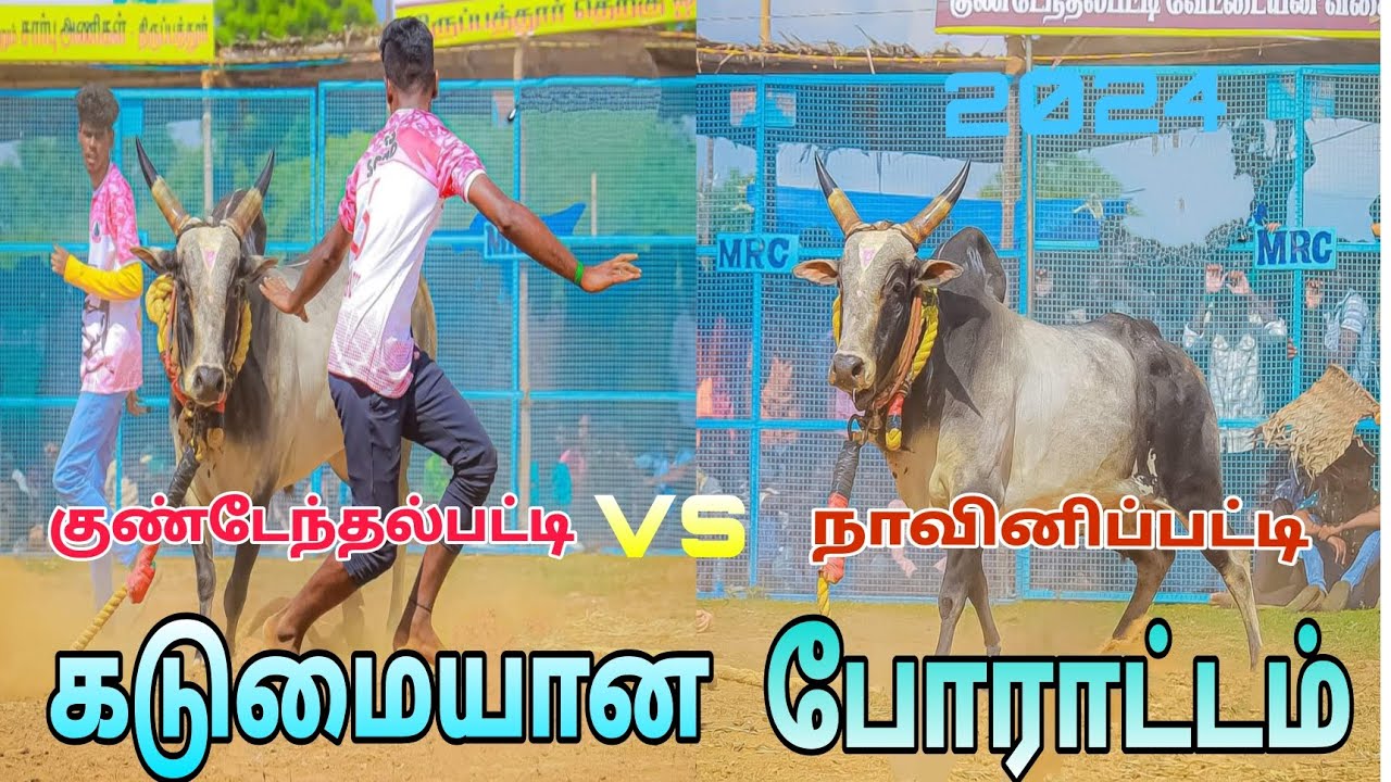 #திருப்பத்தூர் வடத்தில் கடுமையான போராட்டம் குண்டேந்தல்பட்டி காளை vs ...