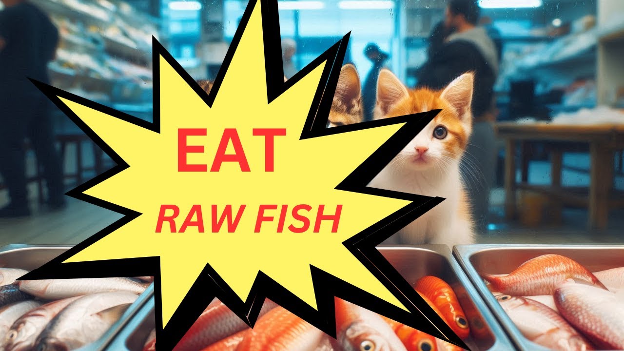 Eat Raw Fish - YouTube