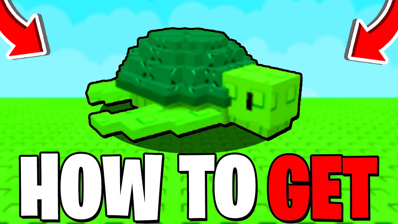How To GET SEA TURTLE PET & SHOWCASE In Grow A Garden! Roblox - YouTube