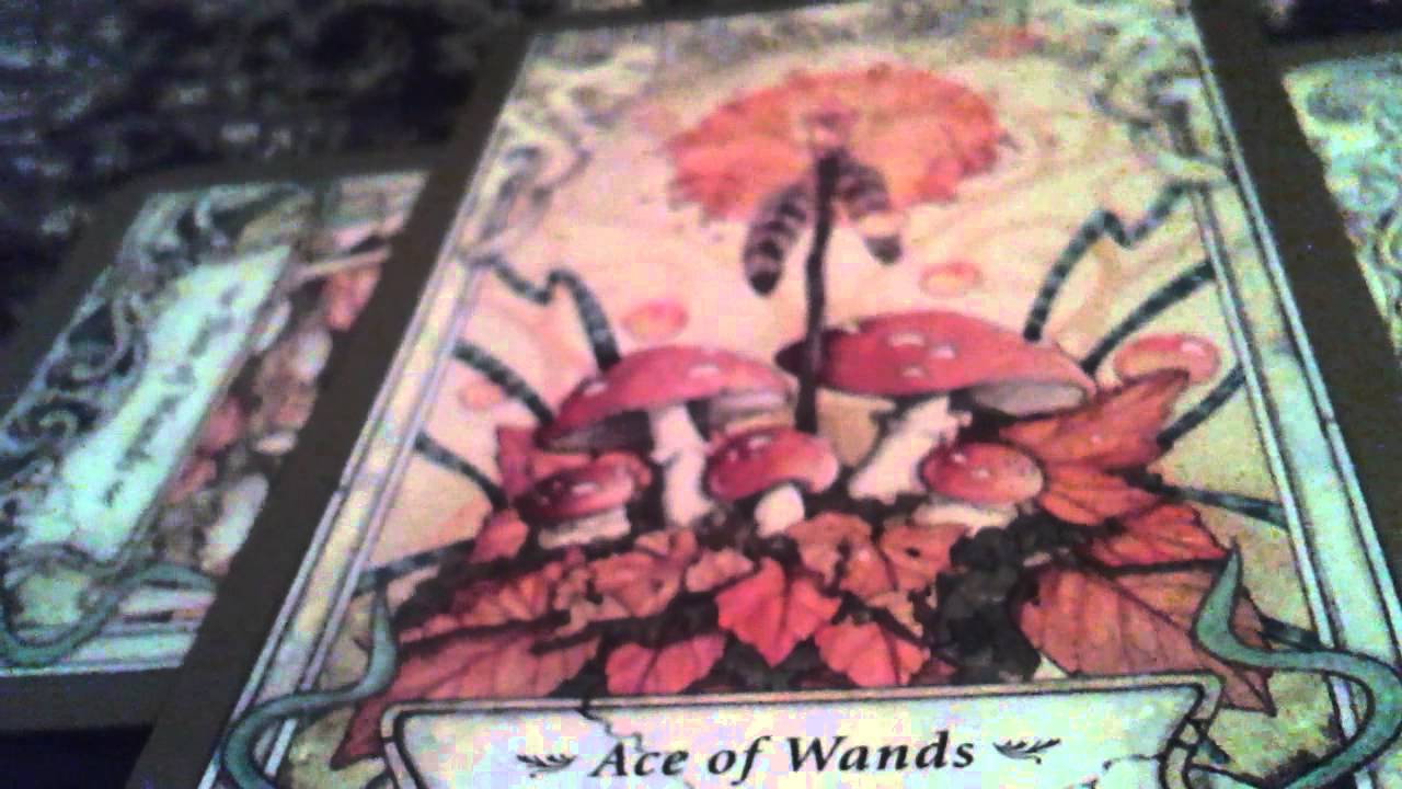 Faerieliiicious Joy Faerie Ring Reading - YouTube