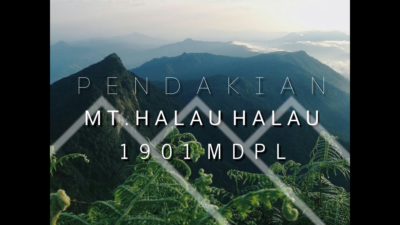 Mt. Halau-Halau 1901Mdpl - Menapaki Puncak Tertinggi Dikalimantan ...