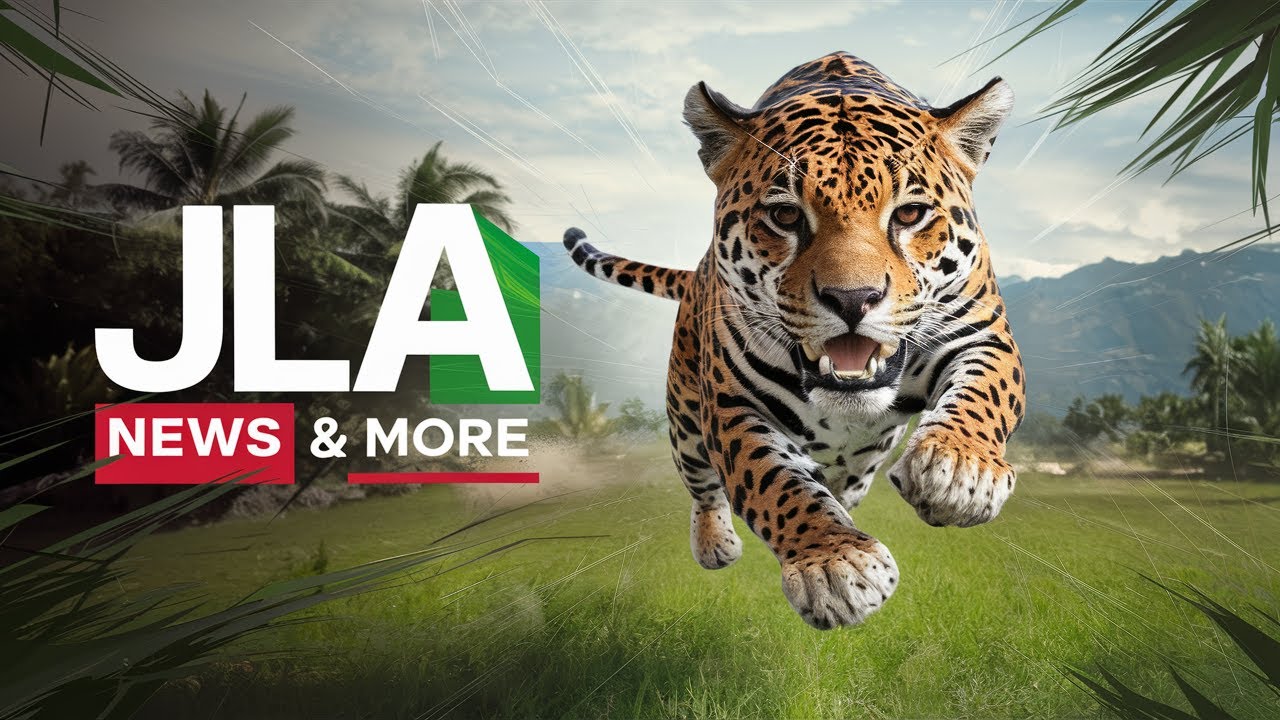 JLA News-Council Woman Kristina Duggan & Mr. S - YouTube