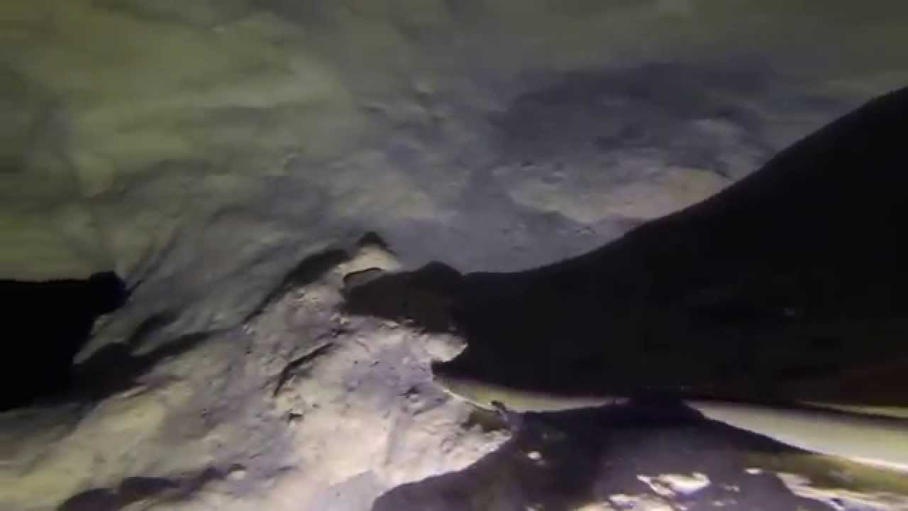 Scuba Diving - Vortex Spring - Ponce de Leon, Florida - YouTube