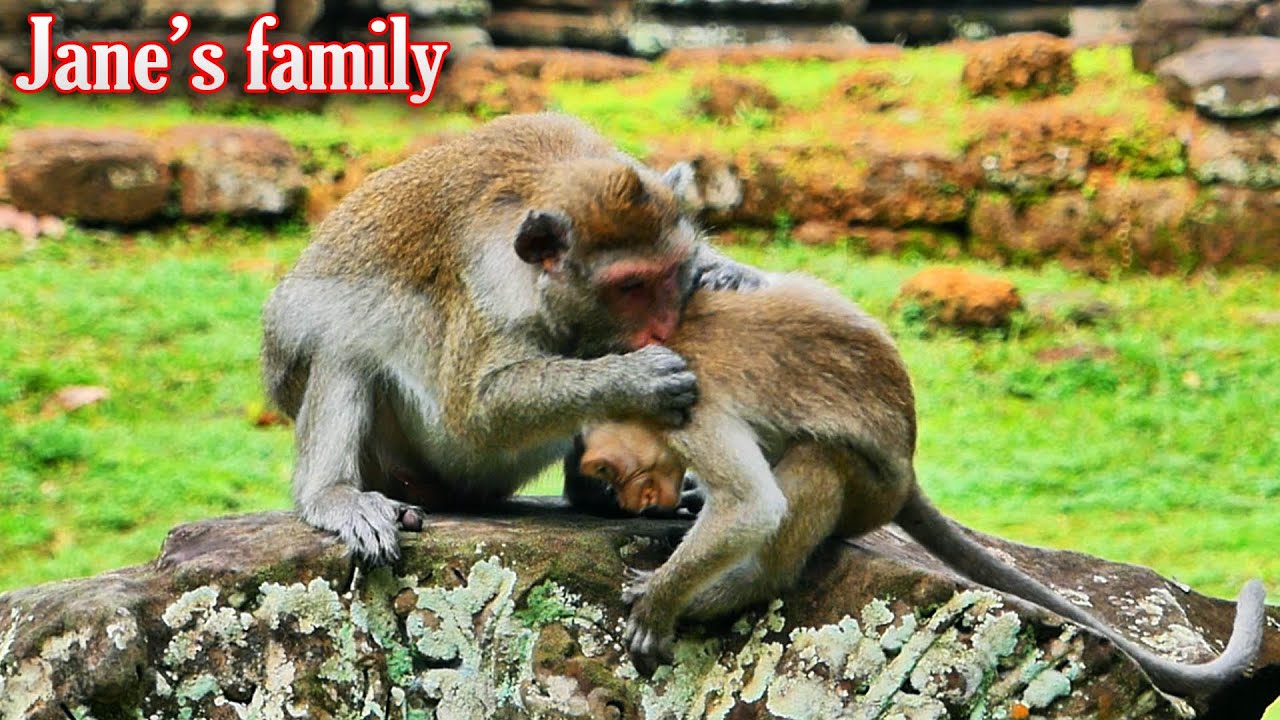 Wonderful, Jane l_acks reliability when her daughter approaches milk ...