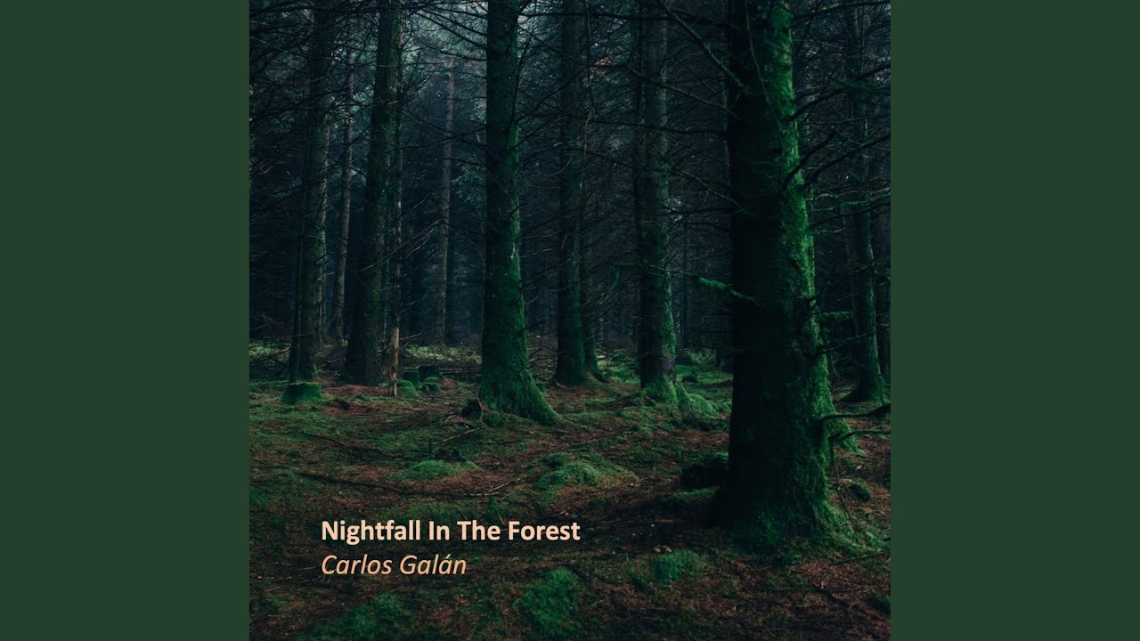 Nightfall In The Forest (Music for Audiovisuals) - YouTube