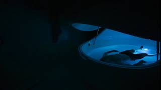Experience Float Lab Perth