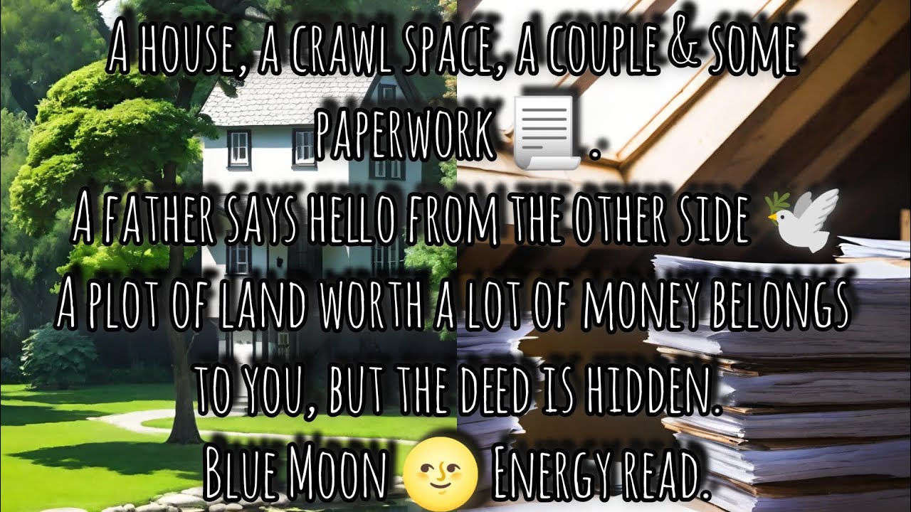 Blue Moon 🌝 Energy Read |Collective Reading - YouTube
