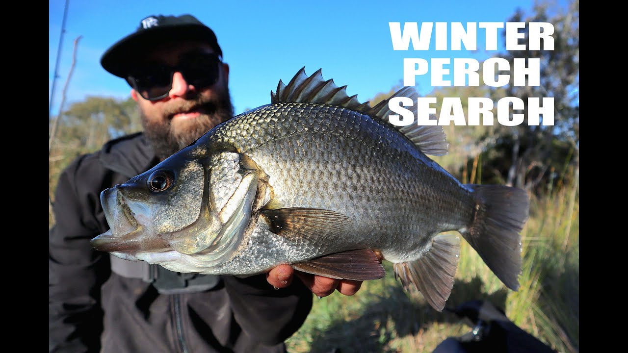 The Search for Winter Perch - YouTube