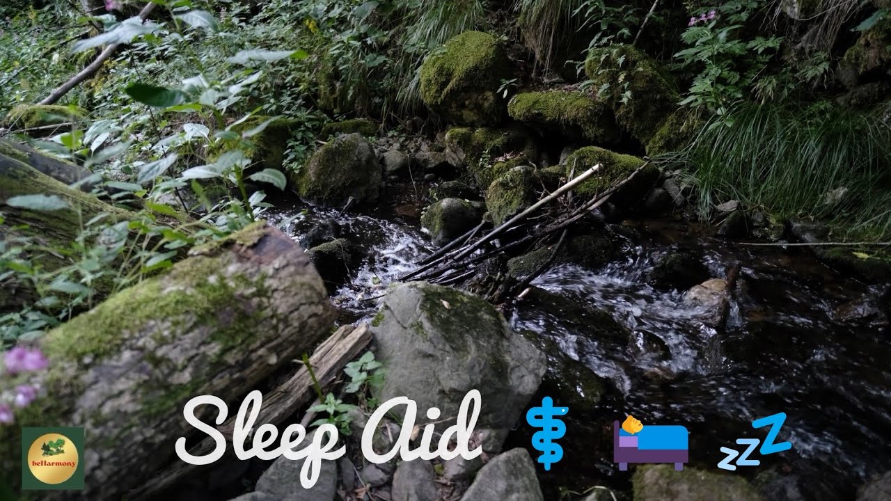 6 Hours of Tranquil Stream to Beat Insomnia: Soothing Water Sounds for ...