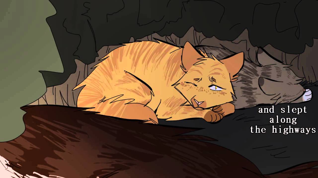 homesick - mothwing & hawkfrost - YouTube