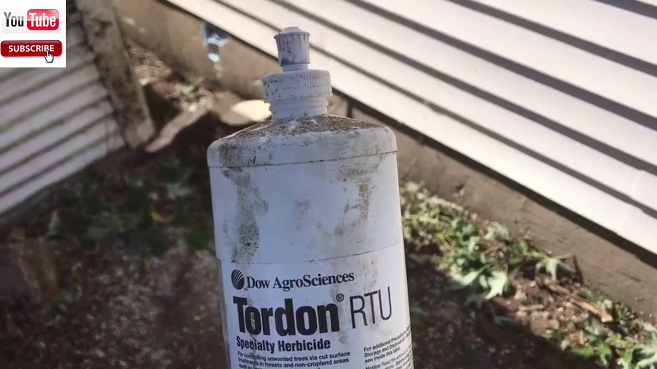 Tree and Brush Control - YouTube