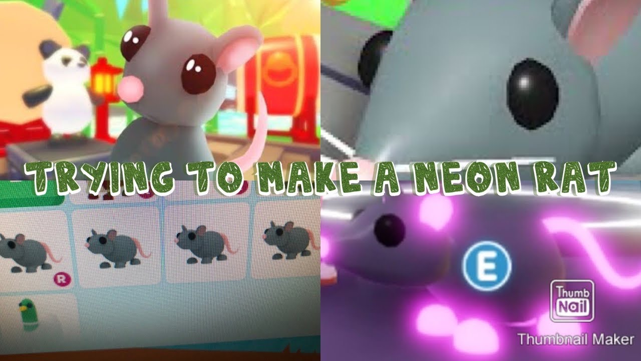 Trying To Make A NEON RAT New Adopt Me Update Part 1 - YouTube
