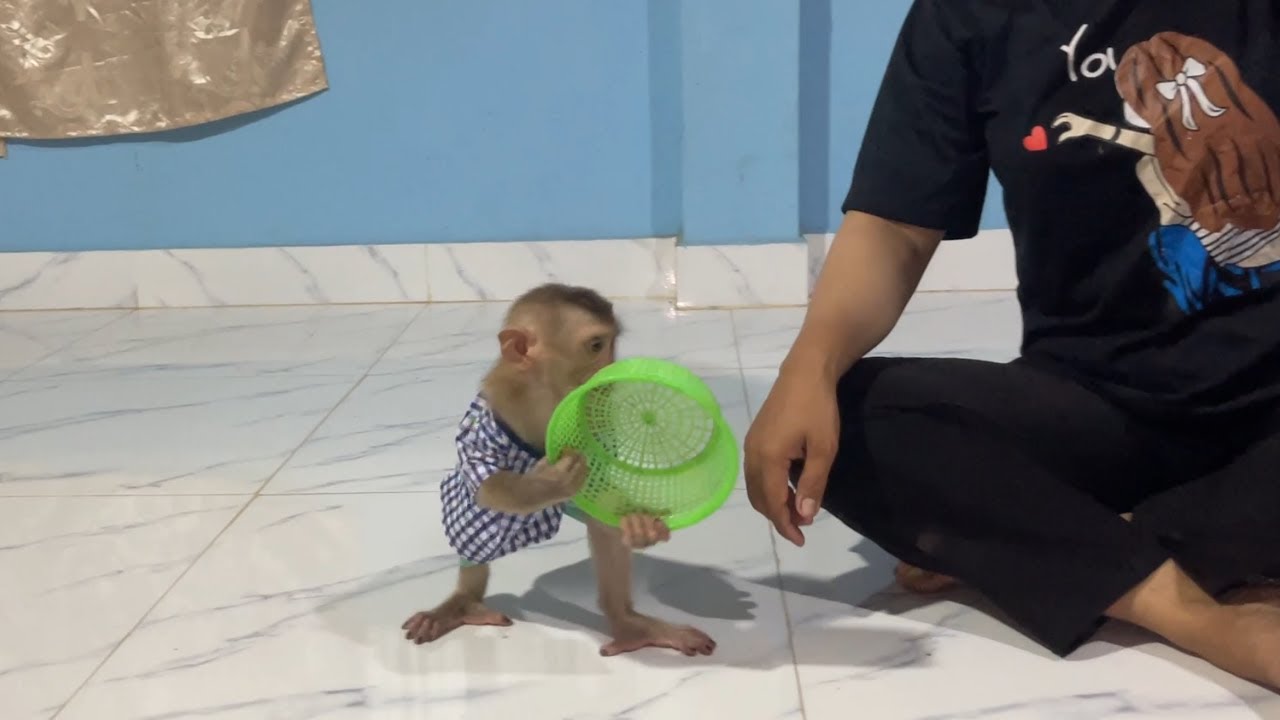 Very Smart | Chaly Handed Mom A Basket. - YouTube