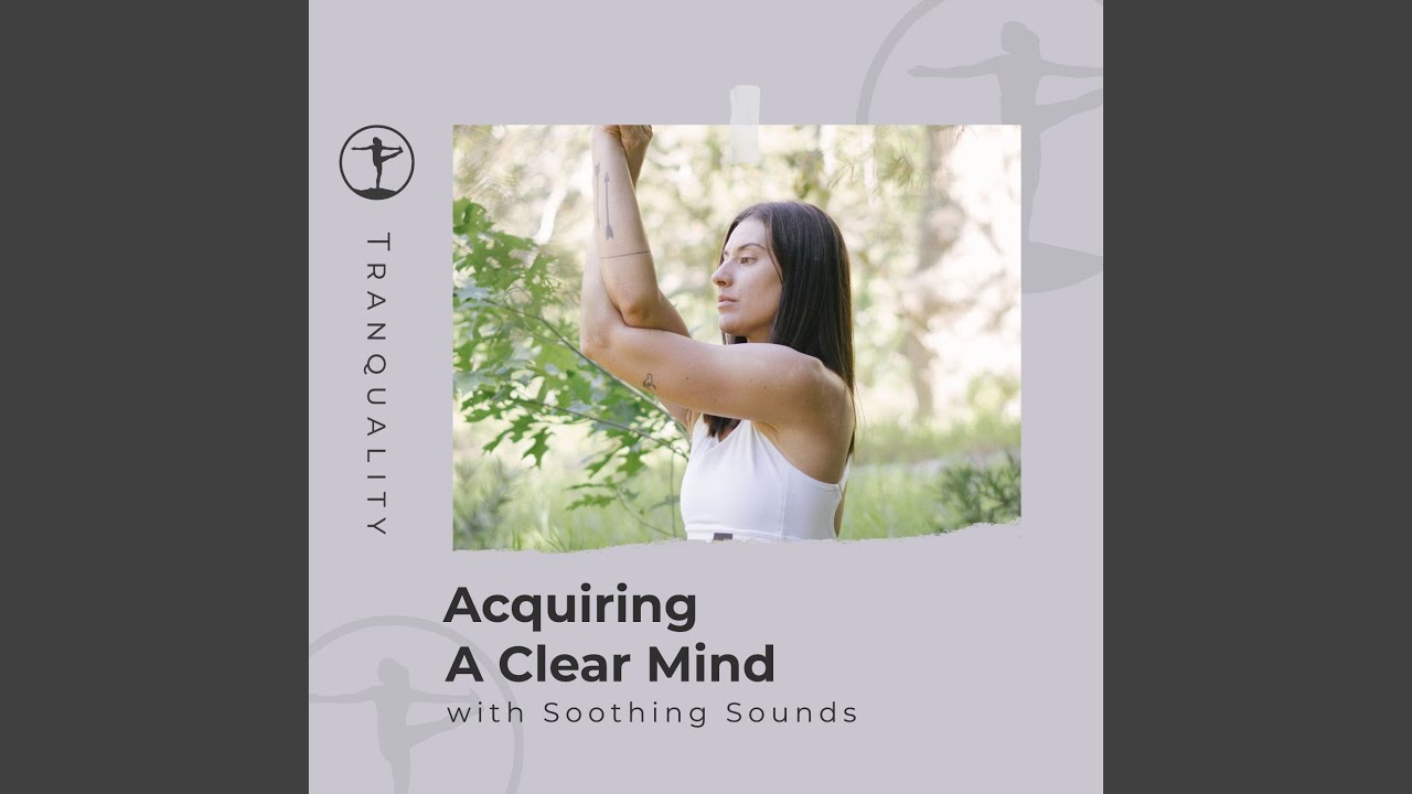 Pathway under Starlight - YouTube