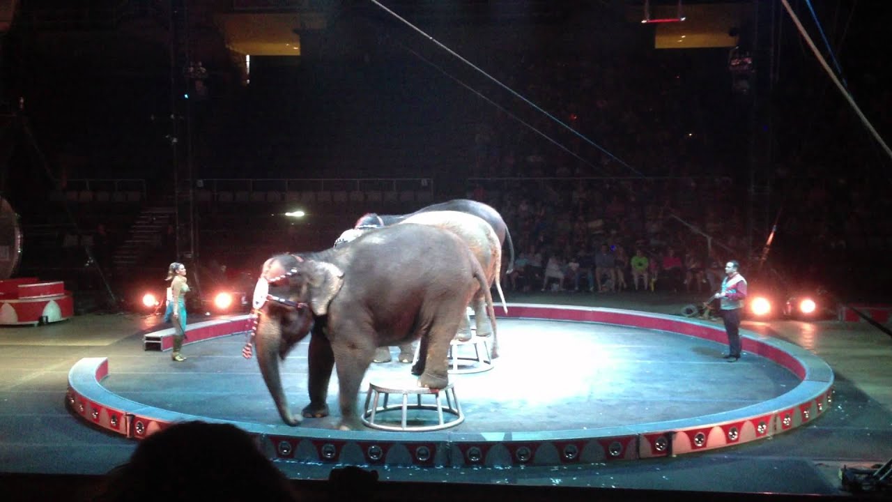 Ringling Bros & Barnum & Bailey's BARNUM BASH - YouTube