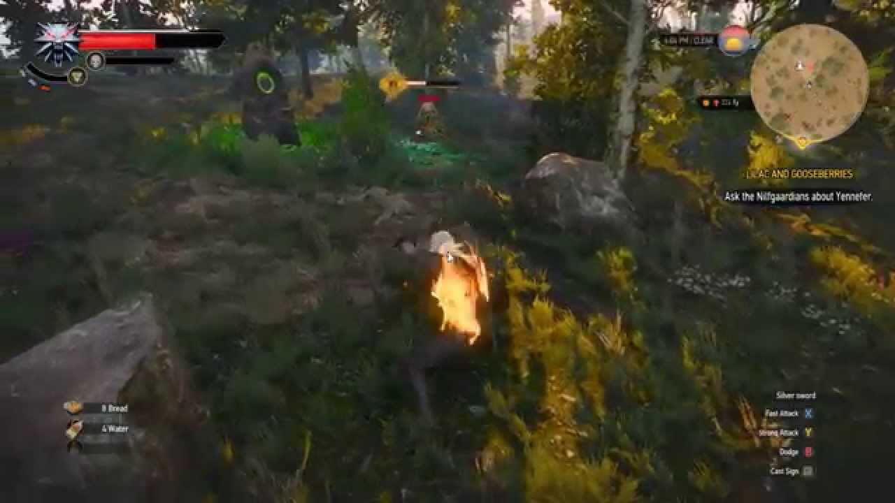 Killing Wraith - The Witcher 3: Wild Hunt Gameplay #2 - YouTube