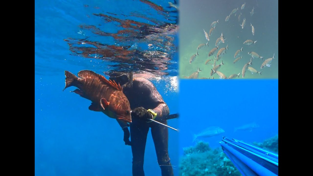 ΨΑΡΟΤΟΥΦΕΚΟ ΣΤΑ ΑΠΙΣΤΕΥΤΑ ΝΕΡΑ ΤΗΣ ΚΡΗΤΗΣ 🔱SPEARFISHING CRETE in GREECE (white,dusky grouper ...