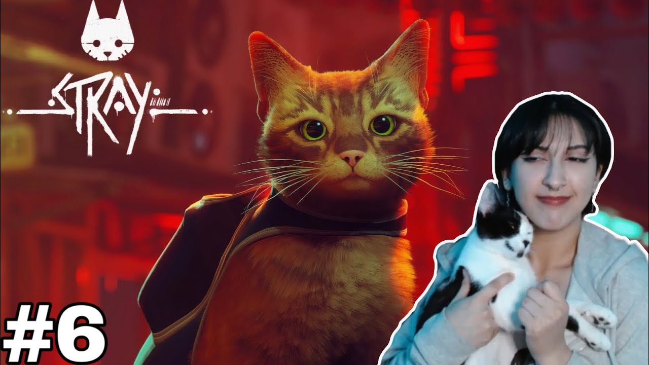 They’re So Rude! | Stray Playthrough | Part 6 - YouTube