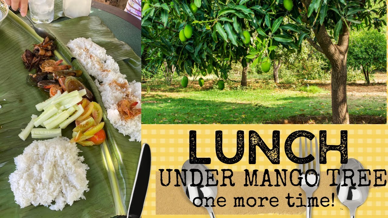 Lunch Under the Mango Tree - ONE MORE TIME | Bonna’s Vlog No.8 - YouTube