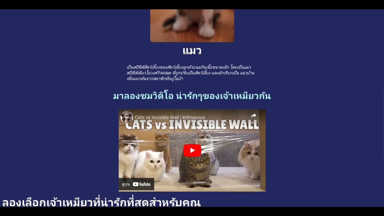 HTML CSS BorntoDev Project 01 - YouTube