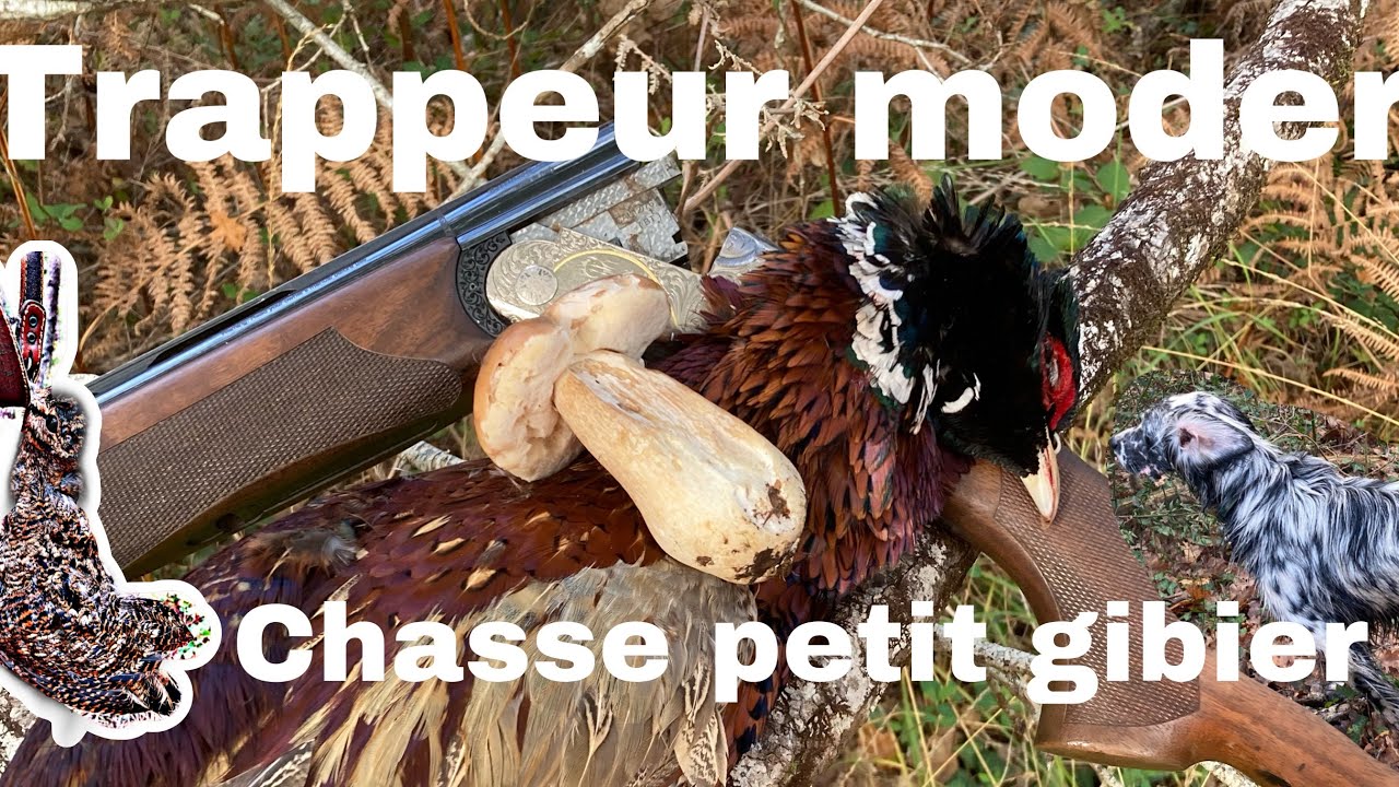 Chasse petit gibier 2022(bécasse,faisan,perdrix) - YouTube