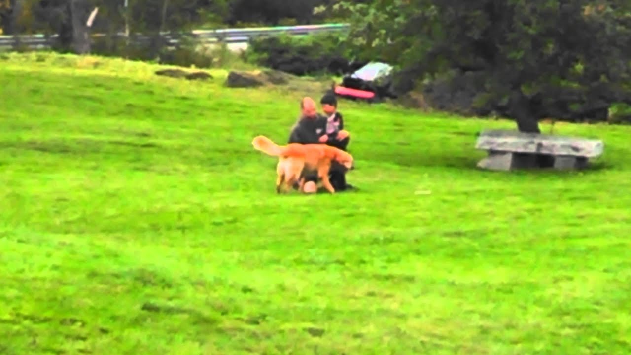 Face catch - YouTube