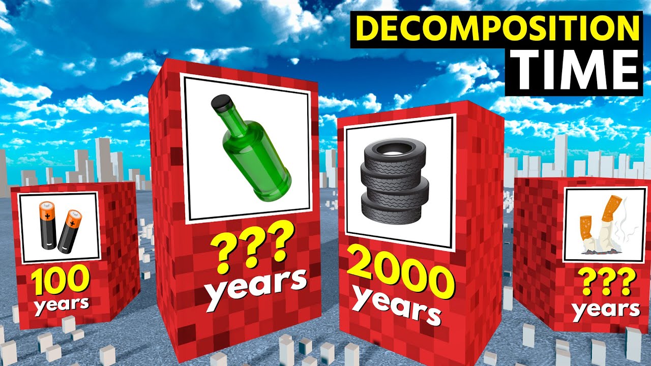 Decomposition Time of Common Items (That Will SHOCK YOU!) | How Long it ...