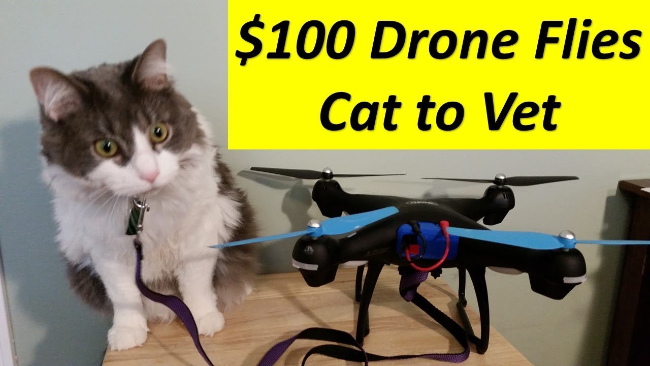 Flying Kitty to the Vet with $100 Drone - YouTube