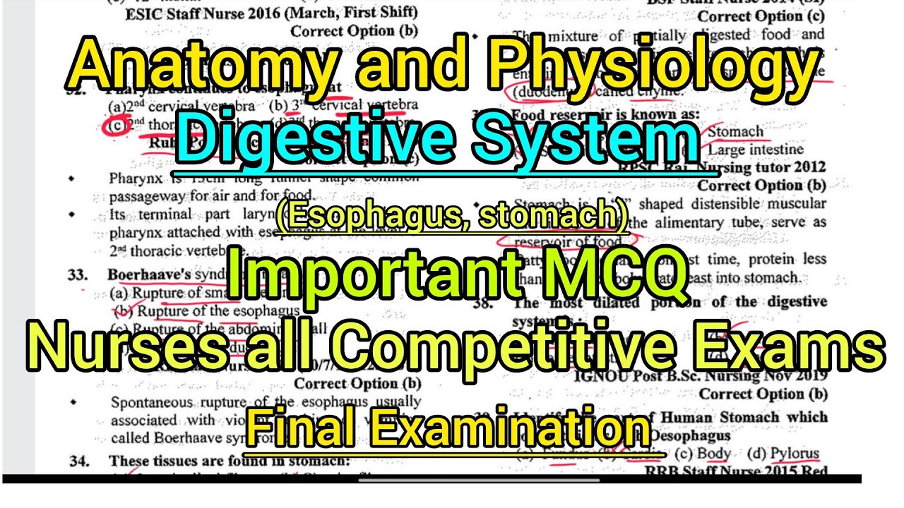 Digestive System Important MCQ/Anatomy and Physiology/GNM/BSC/Nurses ...