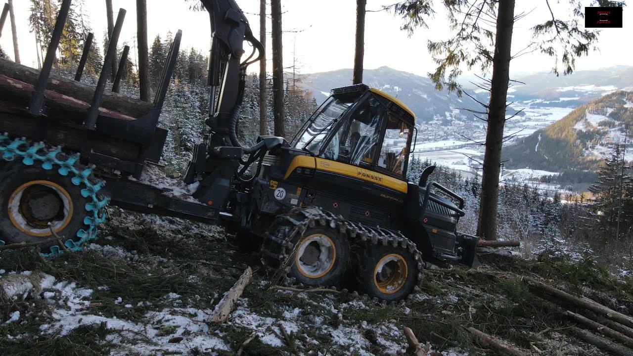 #Logging in beautiful Austria 🌲 Buffalo und Bear auf Holzjagd - YouTube