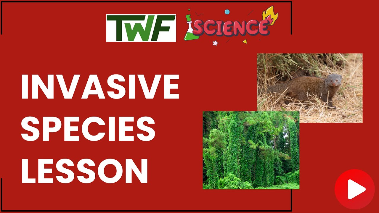 Invasive Species Lesson - Science Lesson - Grades 7-9 - YouTube
