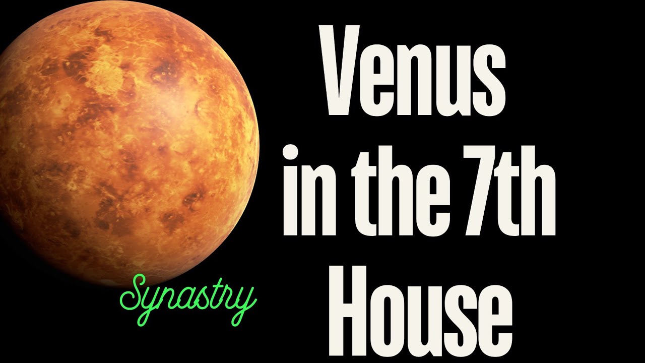 Partner with Venus in 7th House @ Synastry Expert - YouTube