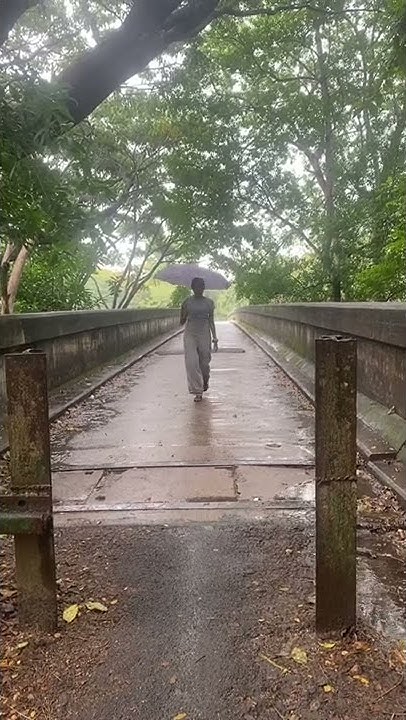 Akbar bridge , University of Peradeniya #shorts - YouTube