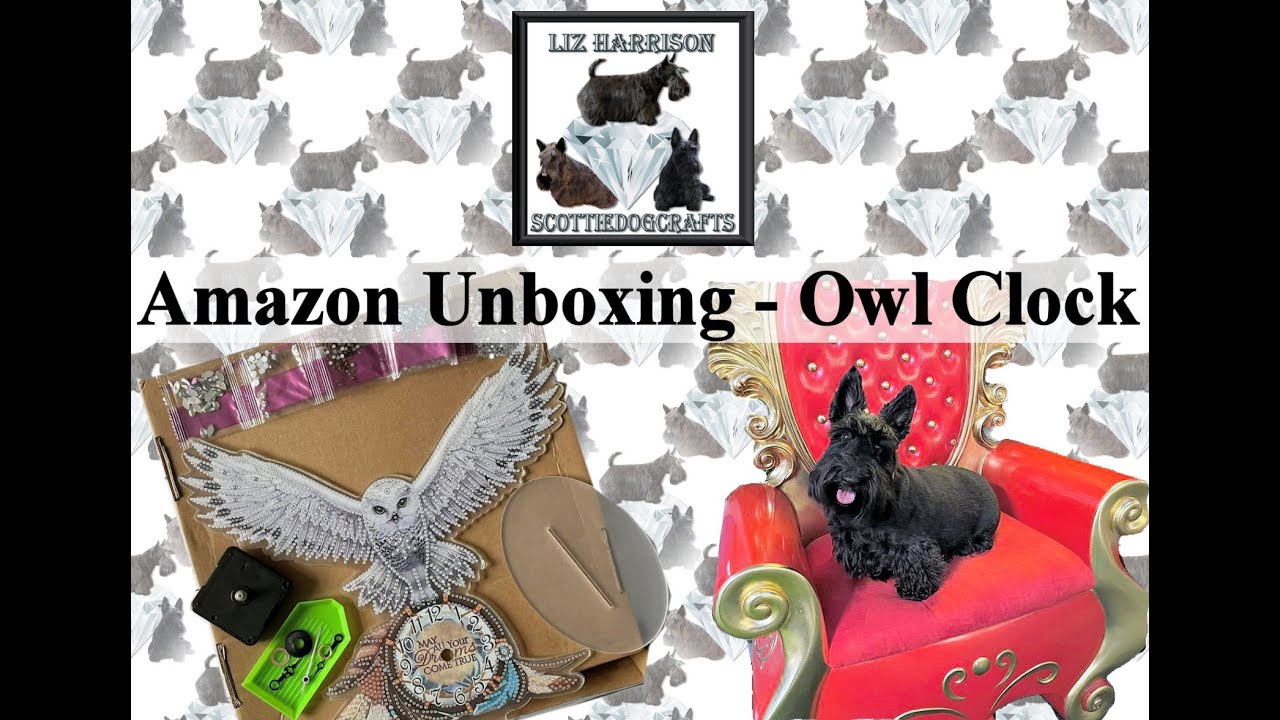 Diamond Painting | UNBOXING | Amazon | Gorgeous White Owl Clock - YouTube