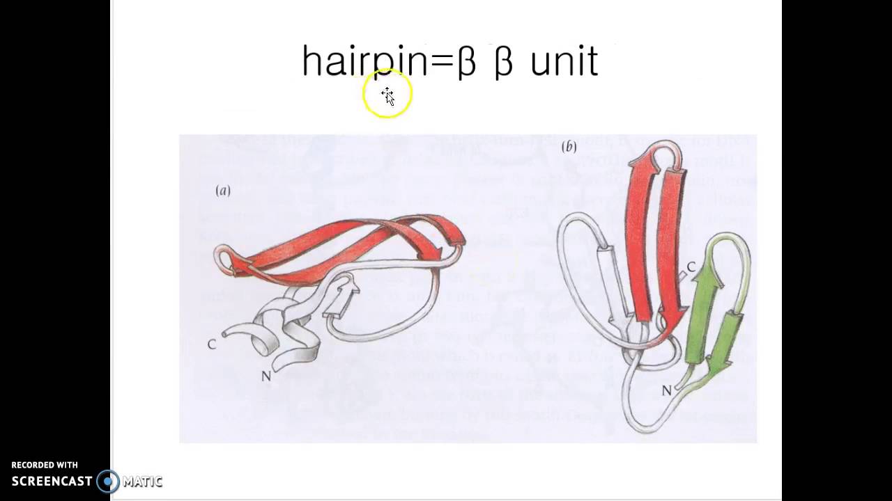 Drawings, motifs domains, and proteins - YouTube