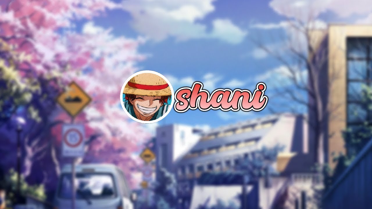2 YEARS OF SHANI! (channel anniversary) - YouTube