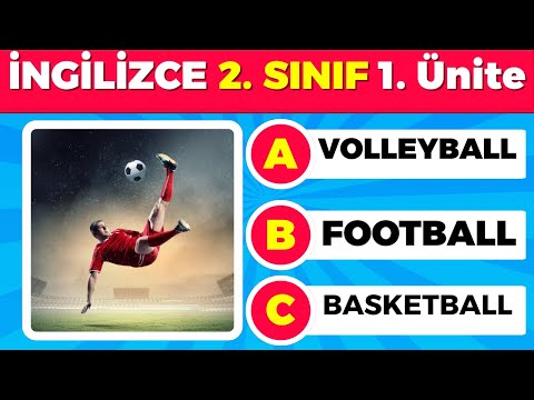 2. Sınıf İngilizce 1. Ünite Kelime Testi | 50 Kelimelik Fotoğraflı İngilizce Kelime Quizi