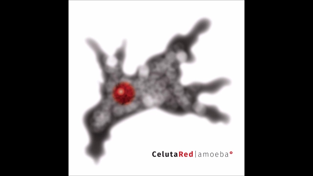 Celuta Red - Amoeba - 2015 Full Album - YouTube