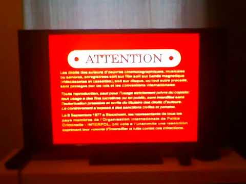 Opening To Max & Ruby: Rubys Pajama Party 2004 VHS - YouTube