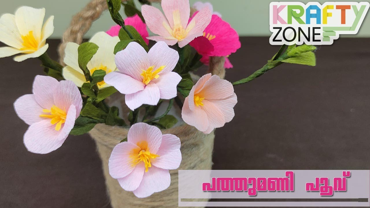 10oclock/പത്തുമണിപൂവ്/portulaca plant/diy pathumani/ornamental ...