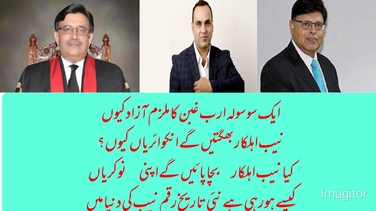 116 billion scam accused will enjoy bail nab official tonface enquiry ...