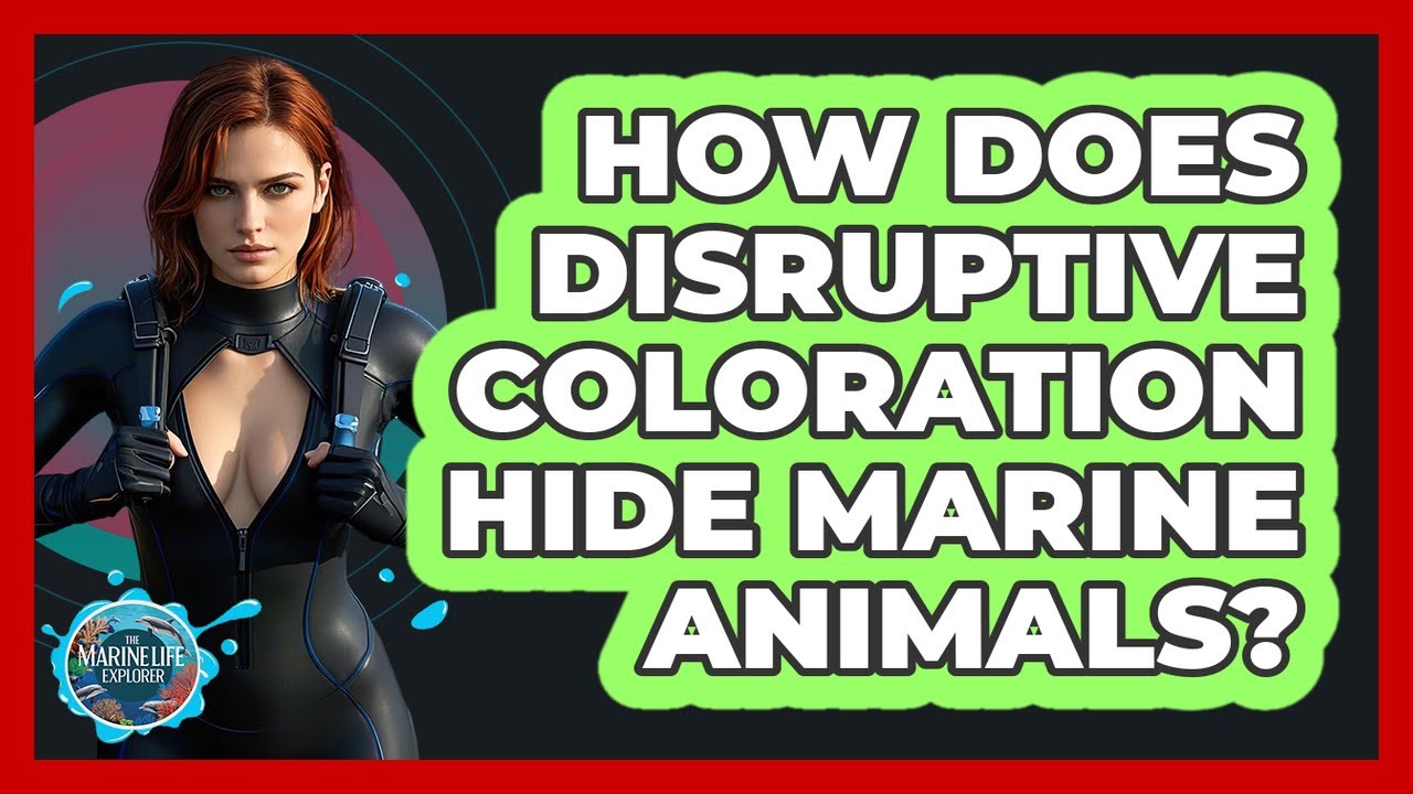 How Does Disruptive Coloration Hide Marine Animals? - The Marine Life ...