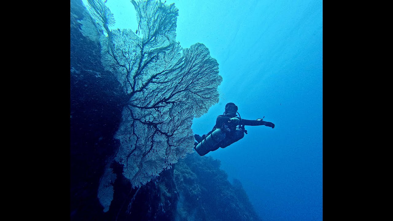 Jeremy's Diving in Moalboal - YouTube