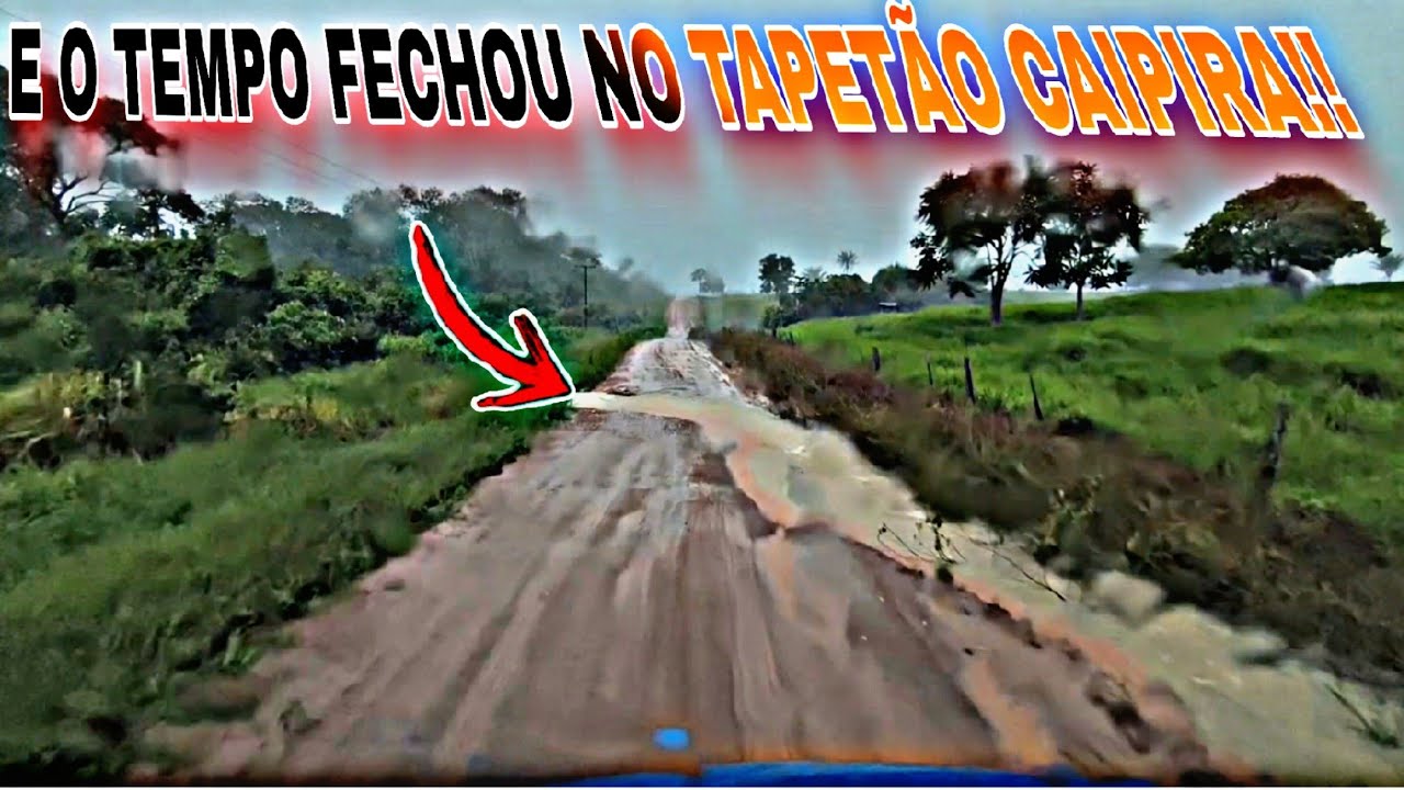 NA PUXADA DO GADO MAGRO...016/25 - YouTube
