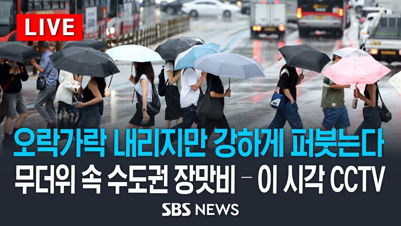 오락가락 내리지만 강하게 퍼붓는다 .. 서울 인천 80mm, 강원내륙 50mm - 이 시각 CCTV / SBS - YouTube