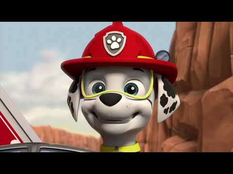 Marshall Meets Wild Cat - Paw Patrol - YouTube